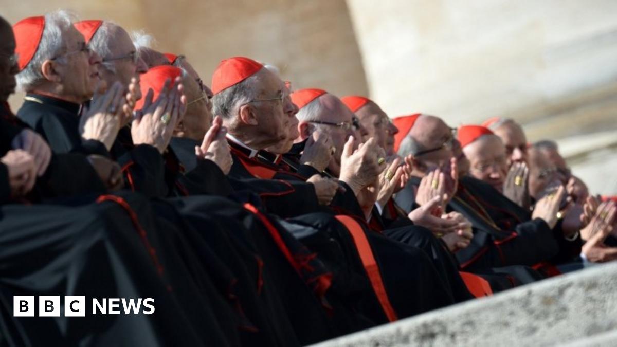 Cardinals in Rome begin talks about choosing next Pope - BBC News