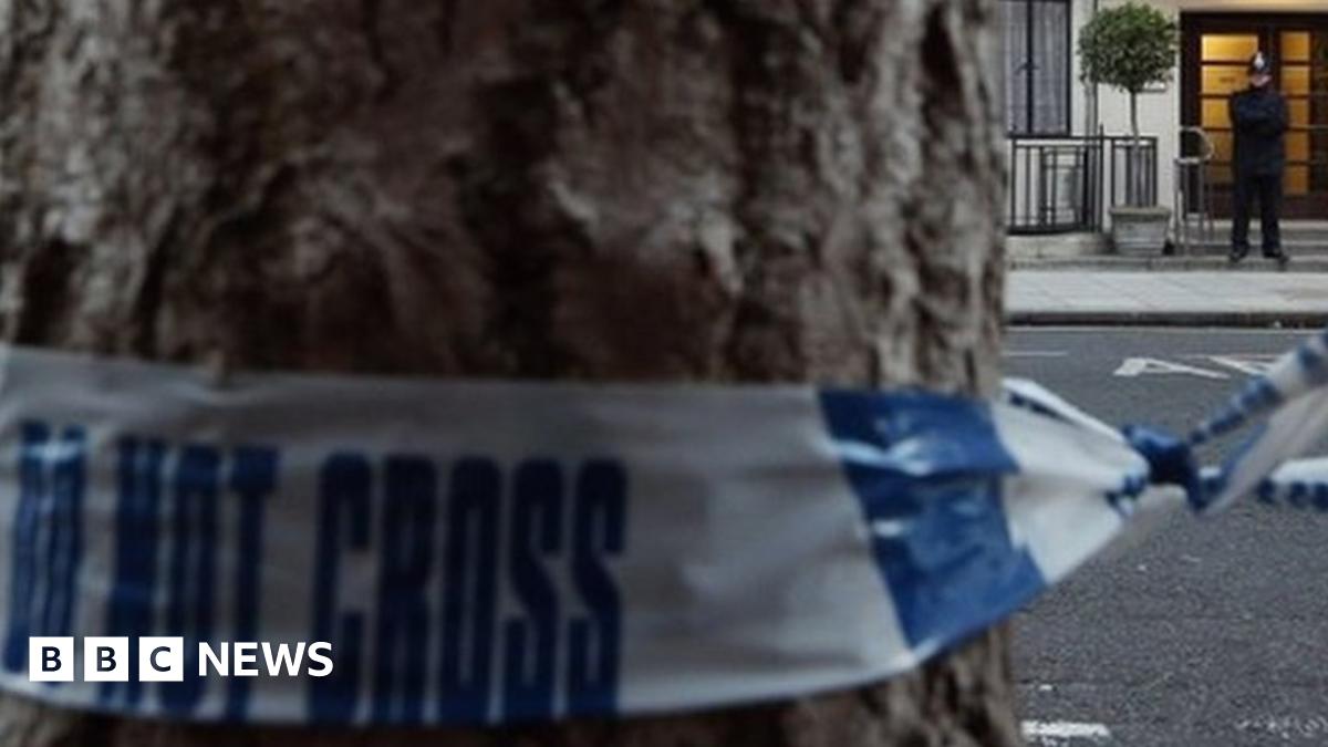 Tributes paid to London 'road rage' death mother - BBC News