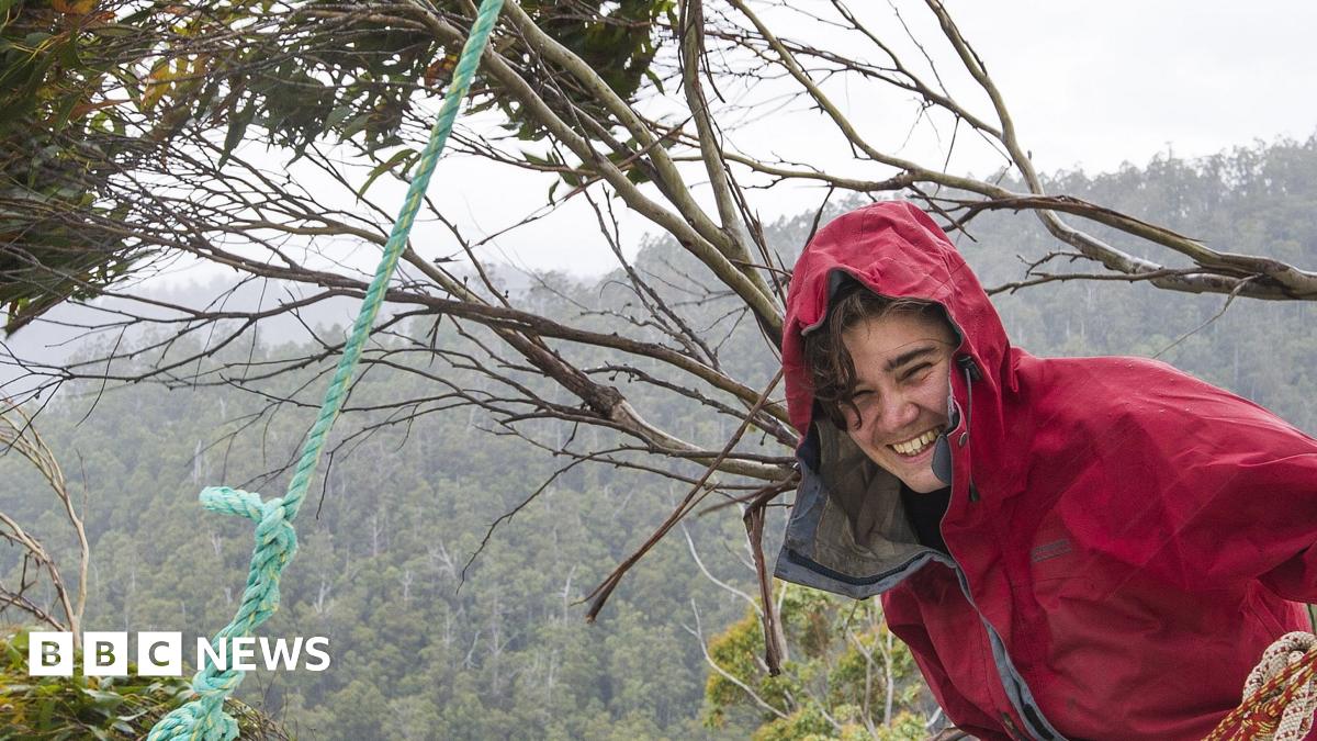 Australian tree-sitter ends 15-month protest after bushfire - BBC News