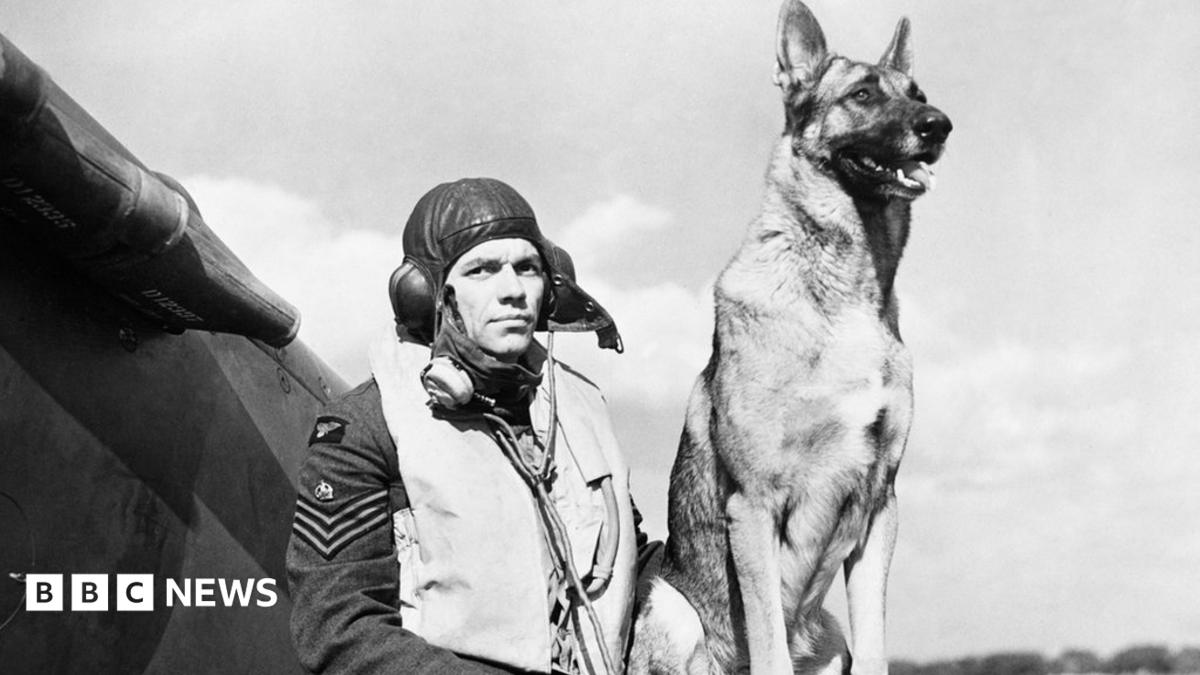 RAF Duxford airbase history marked in new exhibition - BBC News