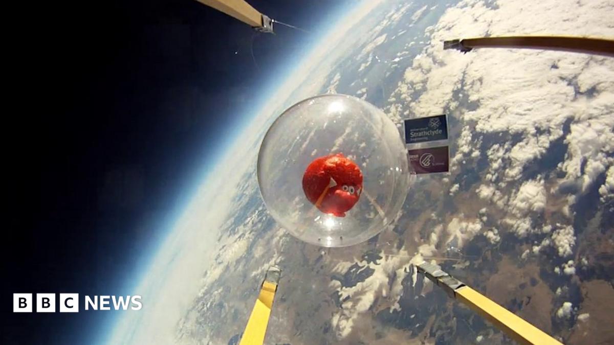 In pictures: Red Nose goes into space - BBC News