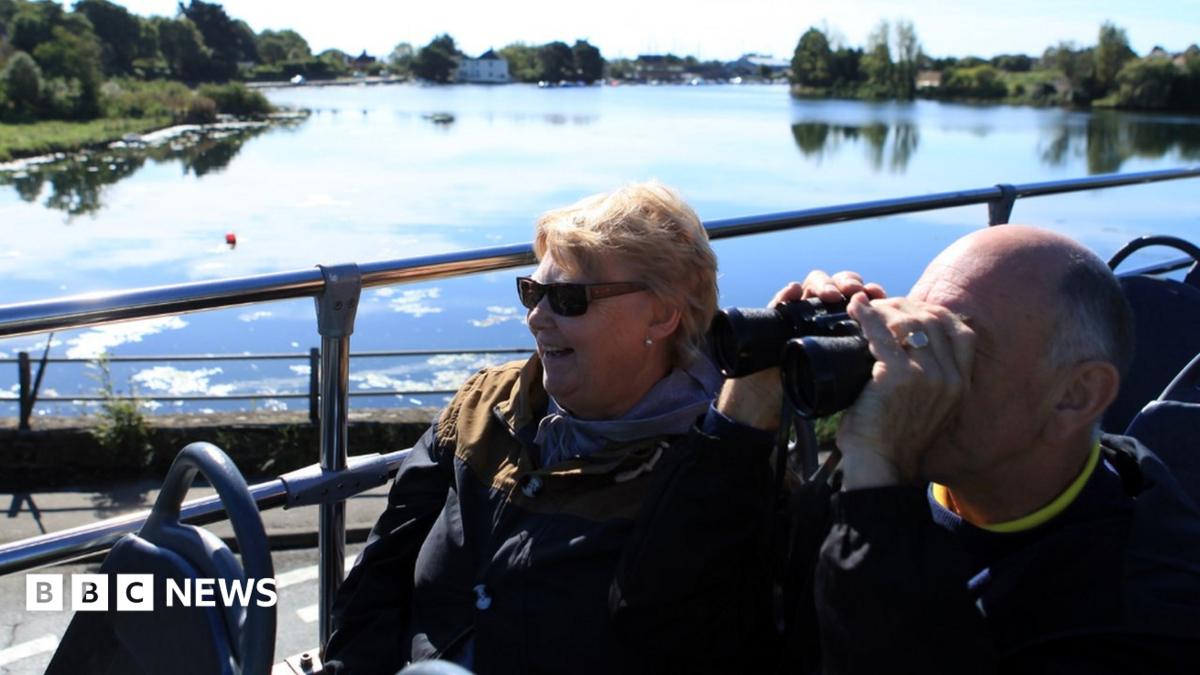 New Forest National Park bus tour's new route - BBC News