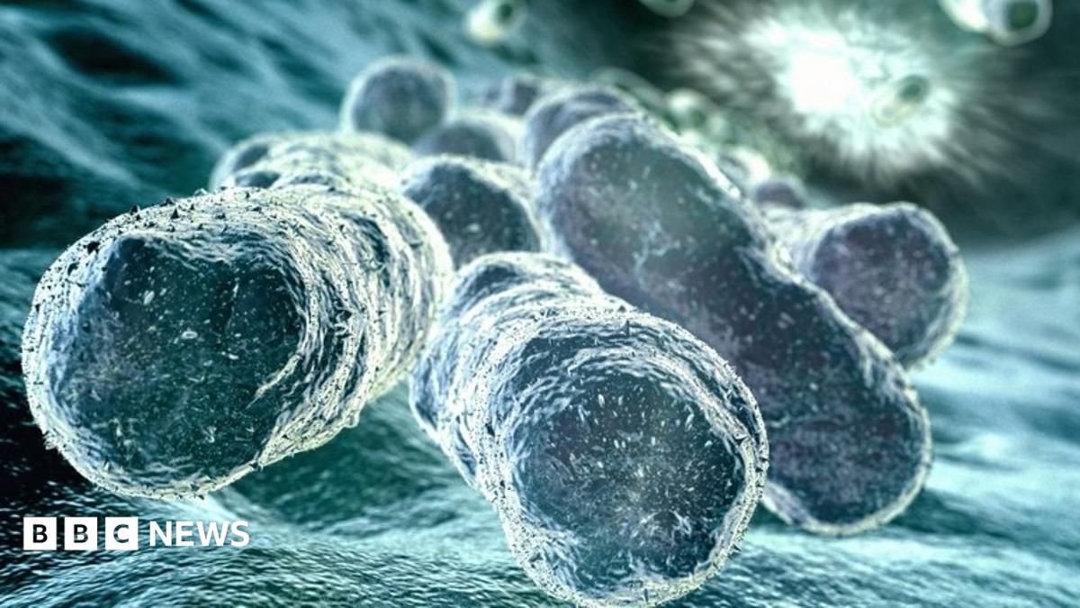 US panel backs trial for anthrax vaccine on children - BBC News