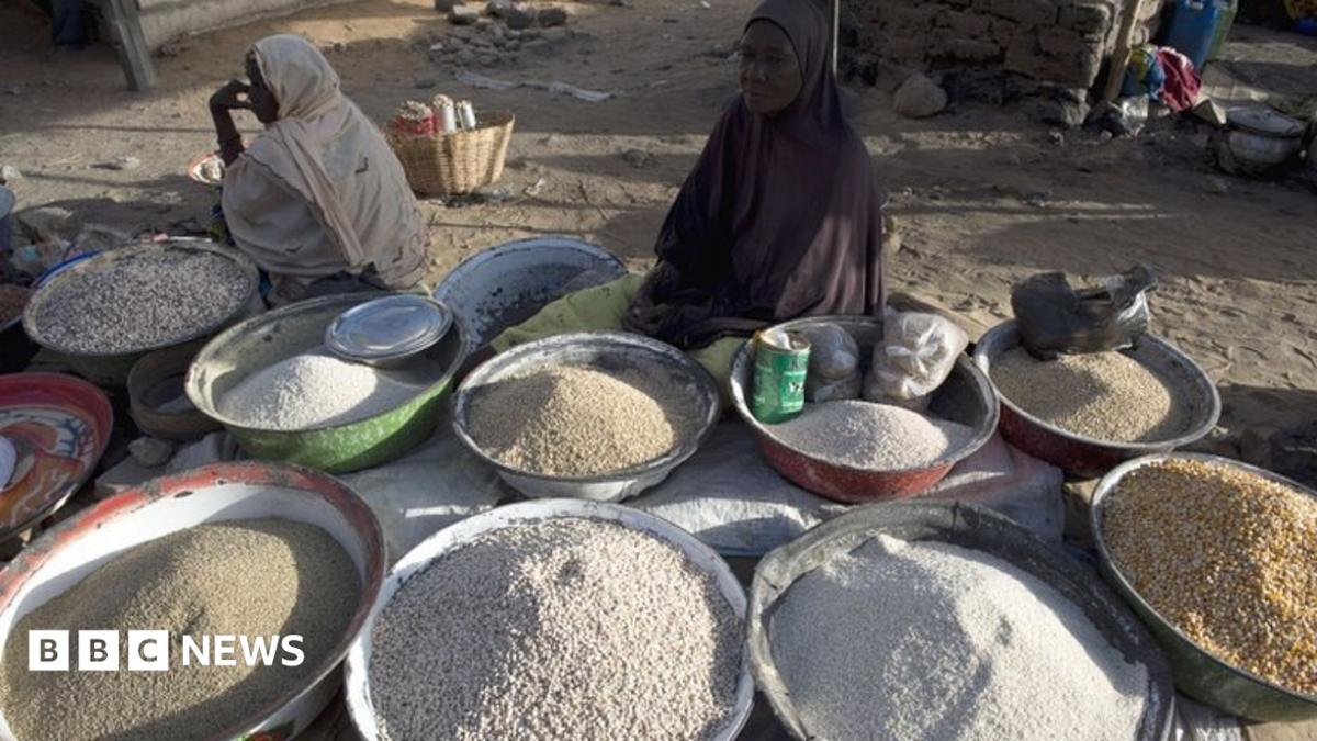 Mali: 'Alarm' over food situation in the north - BBC News