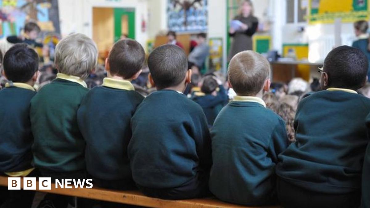Extra school places in Bedfordshire agreed - BBC News
