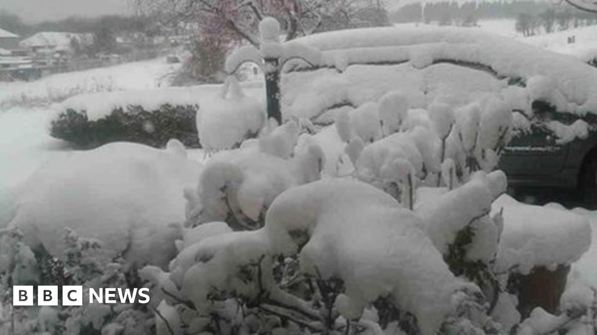 Heavy snowfall across West Yorkshire causes disruption - BBC News