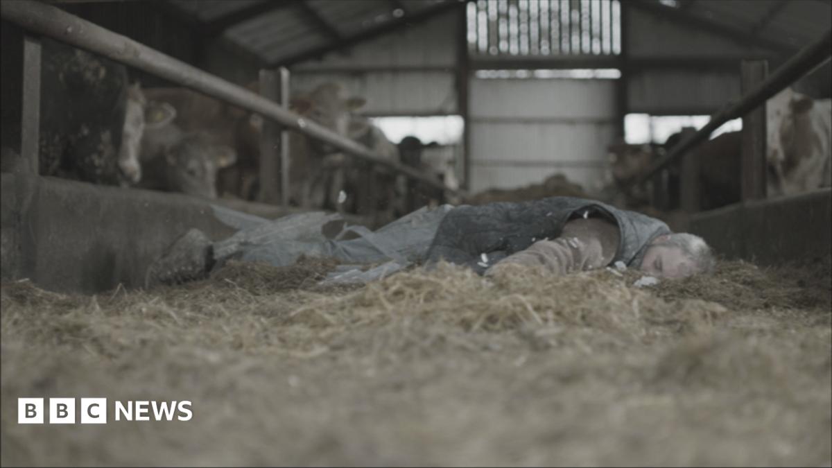 Safety campaign launched to reduce farm deaths and injuries - BBC News
