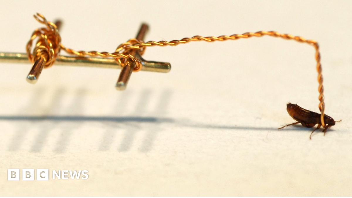 April Fools Day: 10 stories that look like pranks but aren't - BBC News