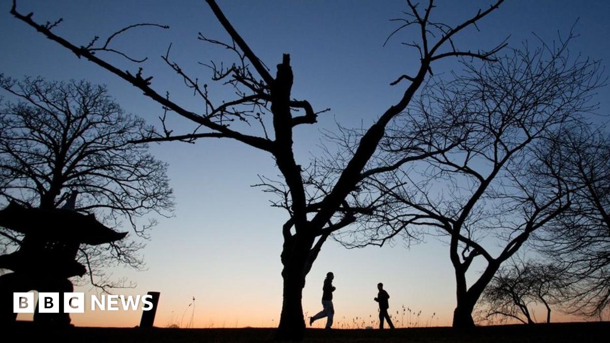 Day in pictures: 3 April 2013 - BBC News