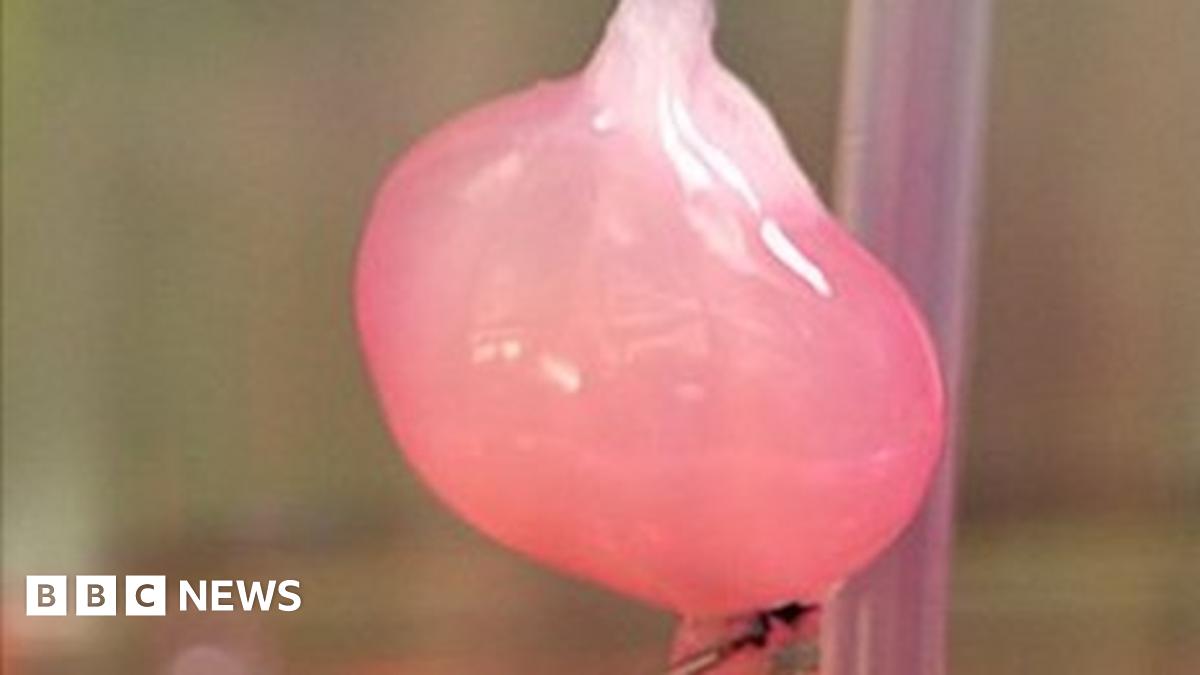 Scientists make 'laboratory-grown' kidney - BBC News