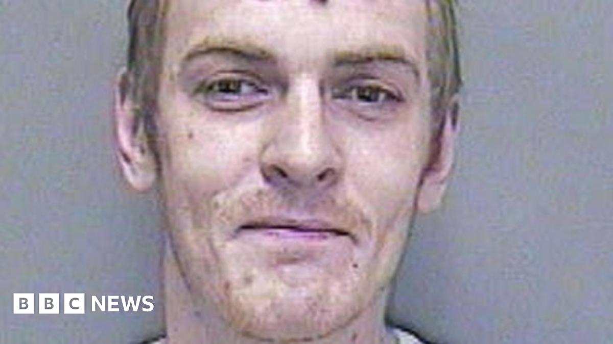 Burglar Stewart Rees jailed for theft from dying Swansea woman - BBC News