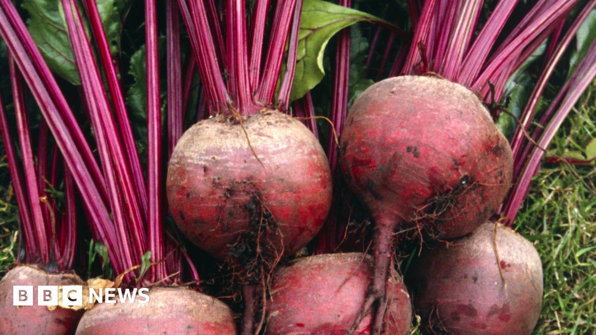 Beetroot 'can lower blood pressure' - BBC News