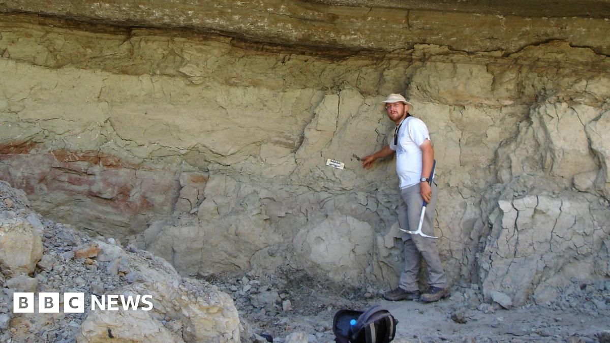 Dinosaur 'fills fossil record gap' - BBC News