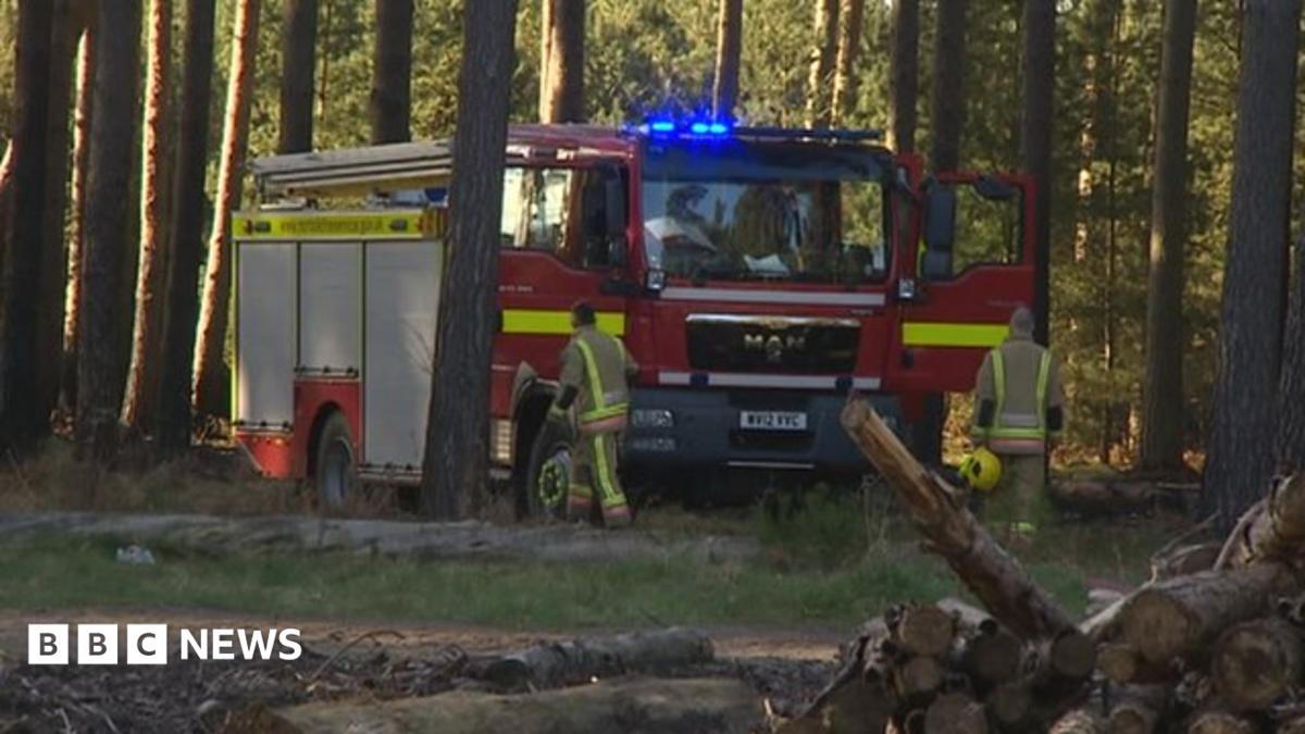 Thetford Forest fire contained by crews - BBC News