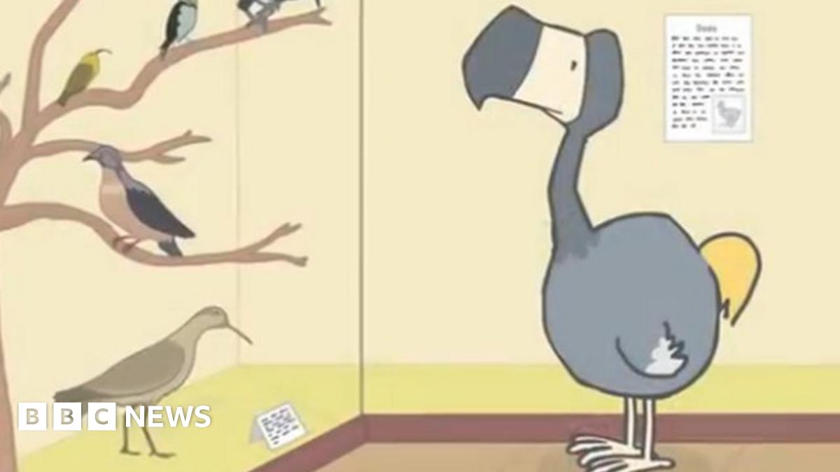 Durrell and Aardman team up for dodo film - BBC News