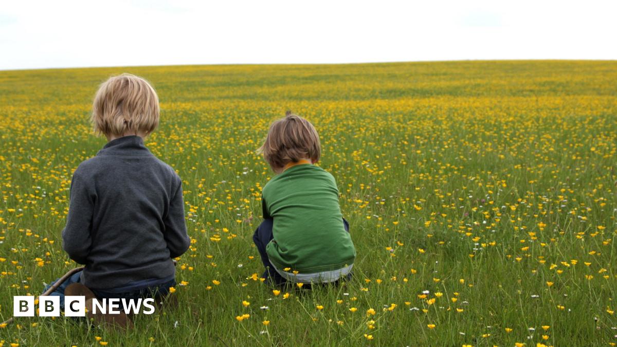 Overprotected children 'more likely to be bullied' - BBC News