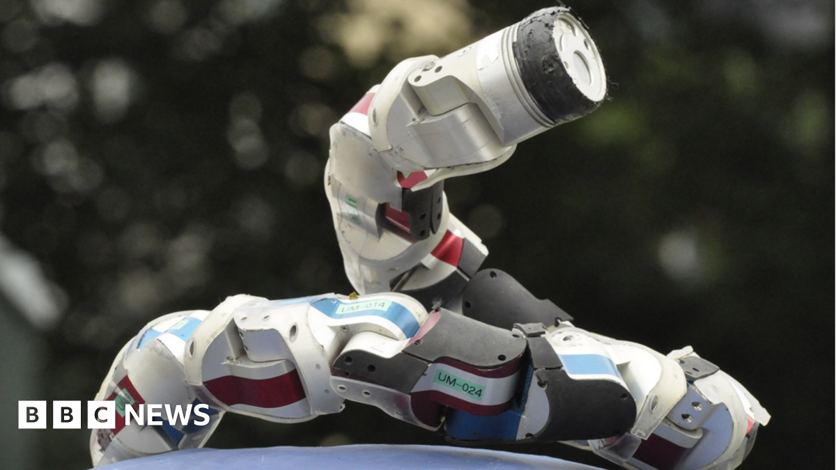 Snake robot teams up with search-and-rescue dog in US - BBC News
