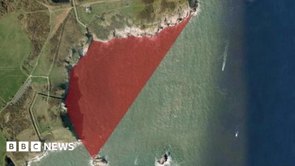 Berry Head guillemots: Marine disturbance monitored - BBC News