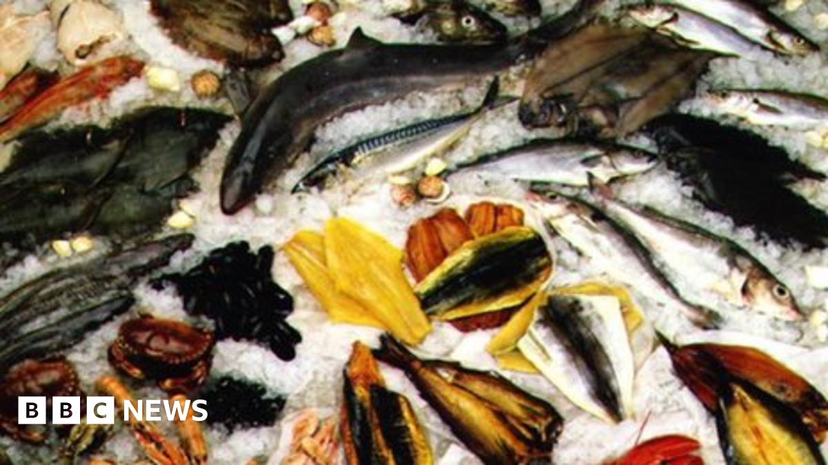 Legal battle over who owns the fish in the sea - BBC News
