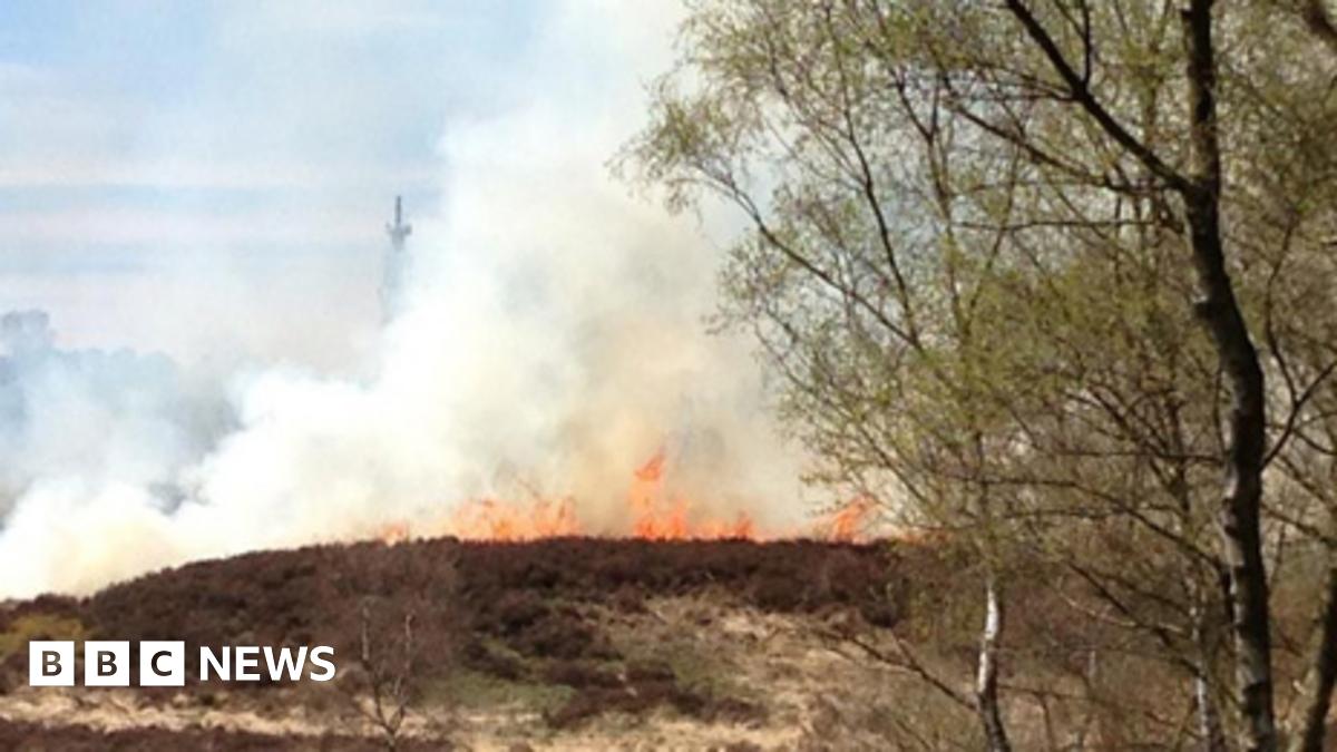 Cannock Chase grassland blazes tackled by firefighters - BBC News