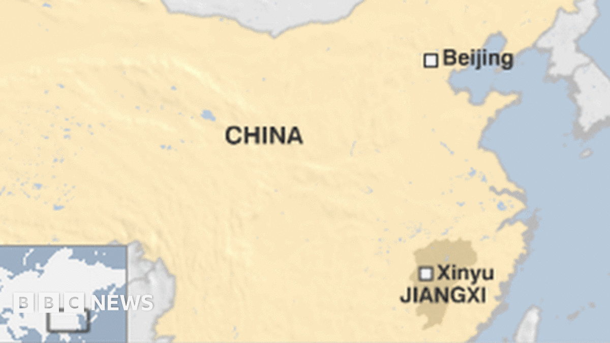 China detains activist Liu Ping on subversion charge - BBC News