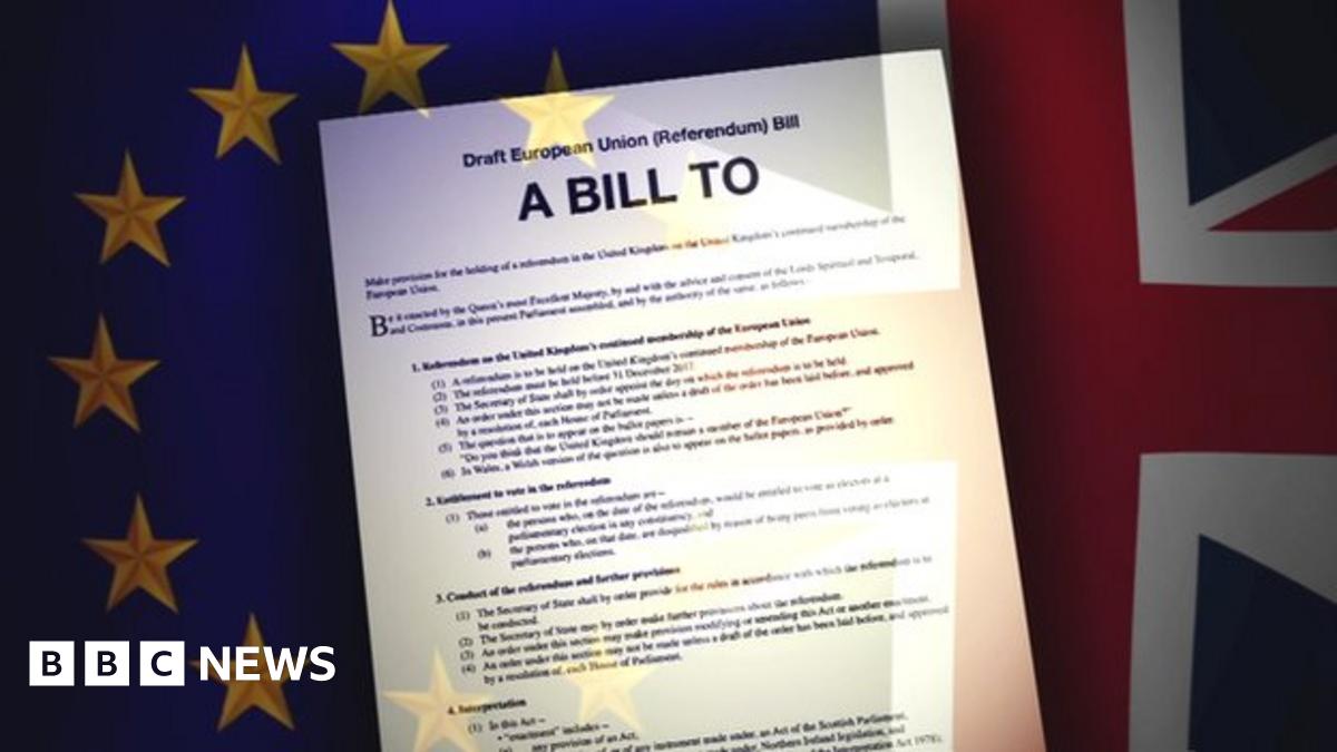 EU referendum: Tory MP will take forward bill - BBC News