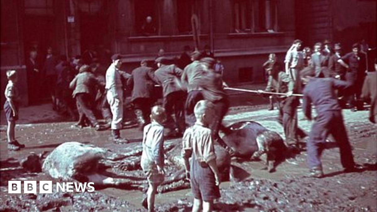 Dambusters: Death and glory - BBC News