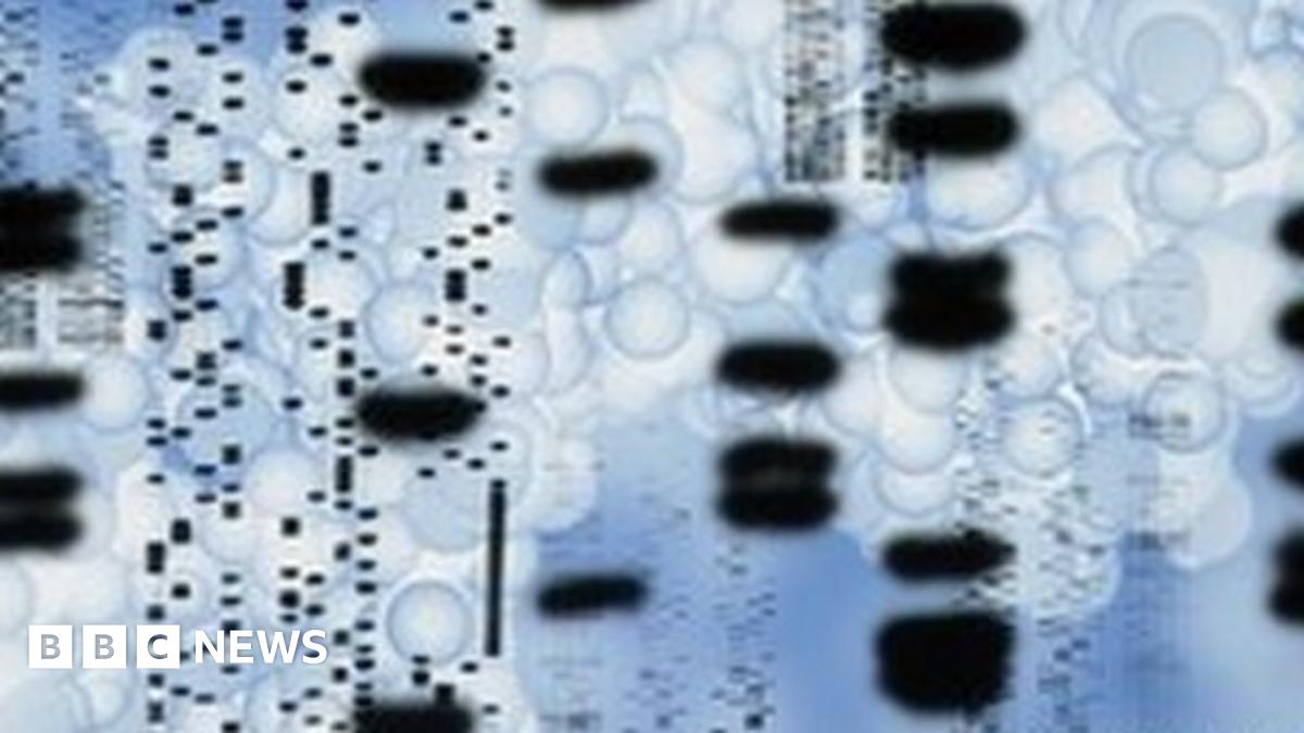 DNA database to become operational in Republic of Ireland - BBC News