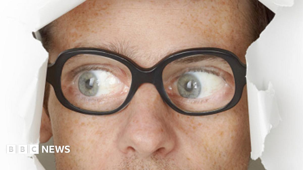 'Swivel-eyed loons' or voice of the people? - BBC News