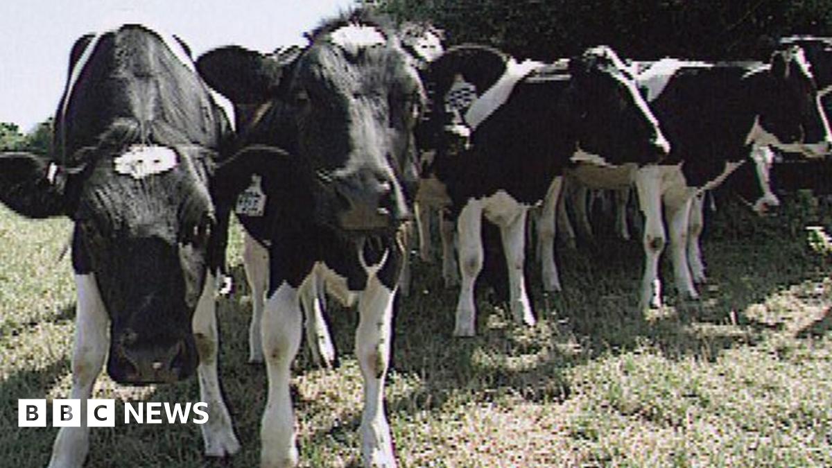 Cow manure fetish man David Truscott admits threats - BBC News