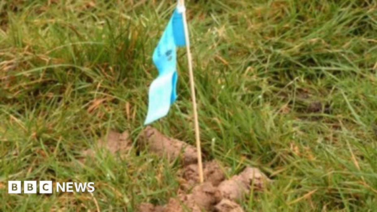 Boston Council 'flags up' dog dirt to shame pet owners - BBC News