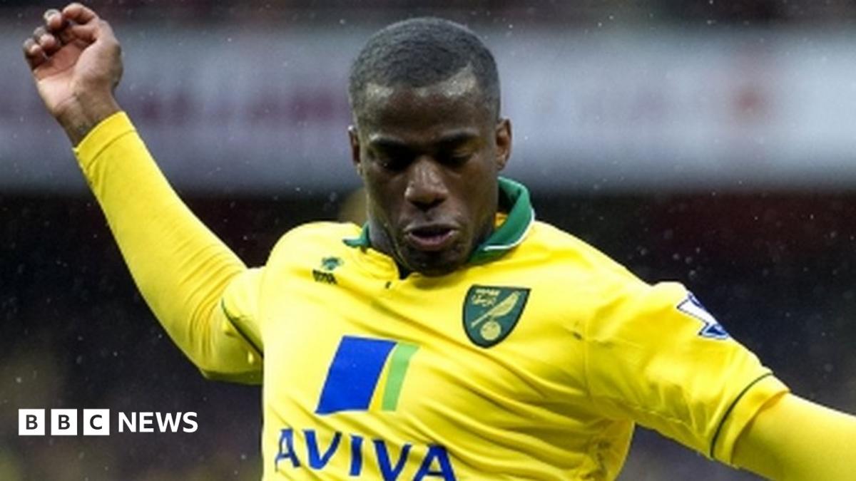 Footballer Sebastien Bassong sorry for gun web pictures - BBC News