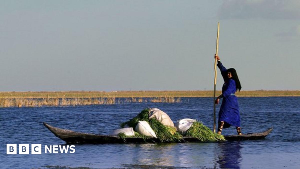 Marsh flooding brings new life to Iraq's 'Garden of Eden' - BBC News