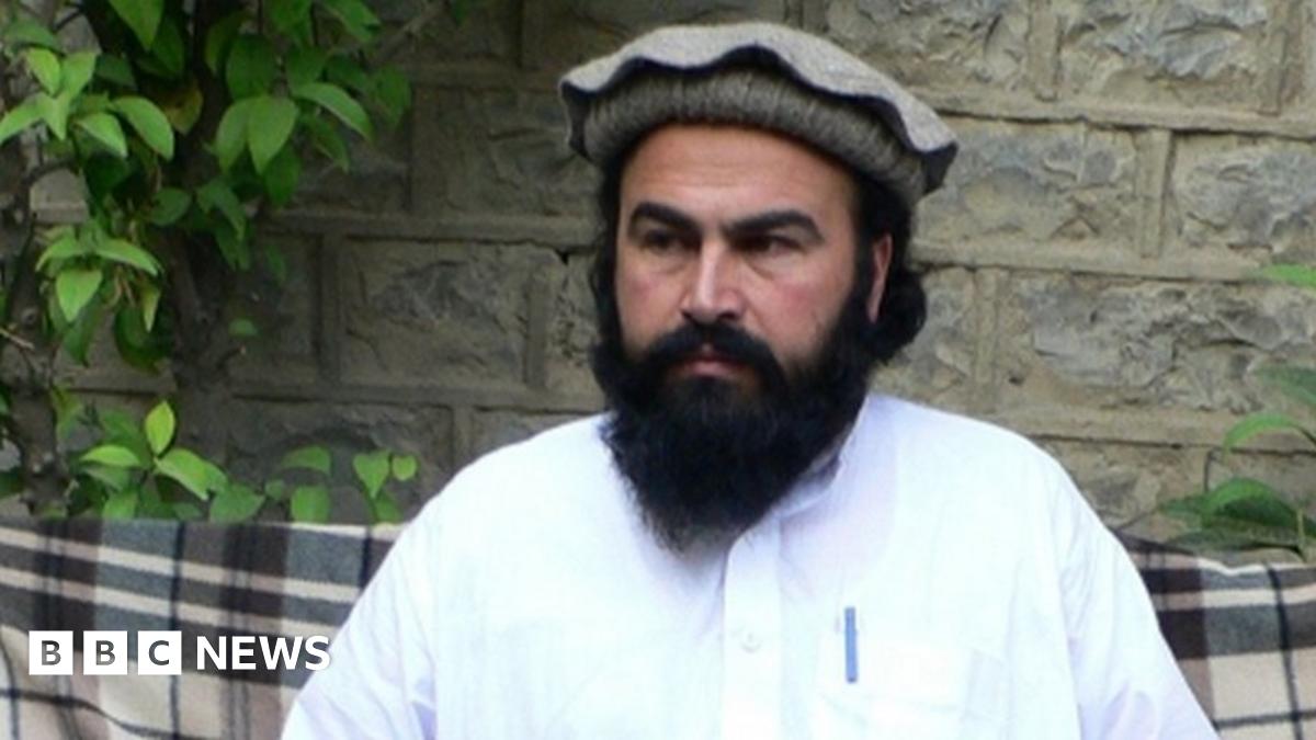 Pakistan Taliban: Senior leader 'killed in US drone strike' - BBC News