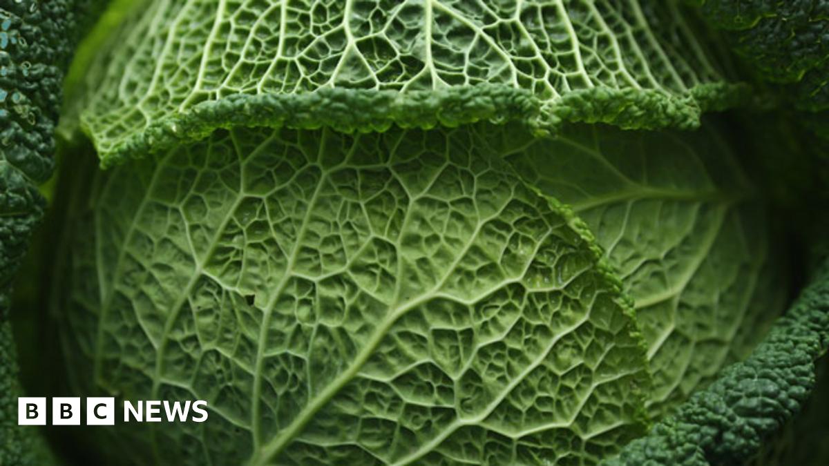 Languages of love: 10 unusual terms of endearment - BBC News