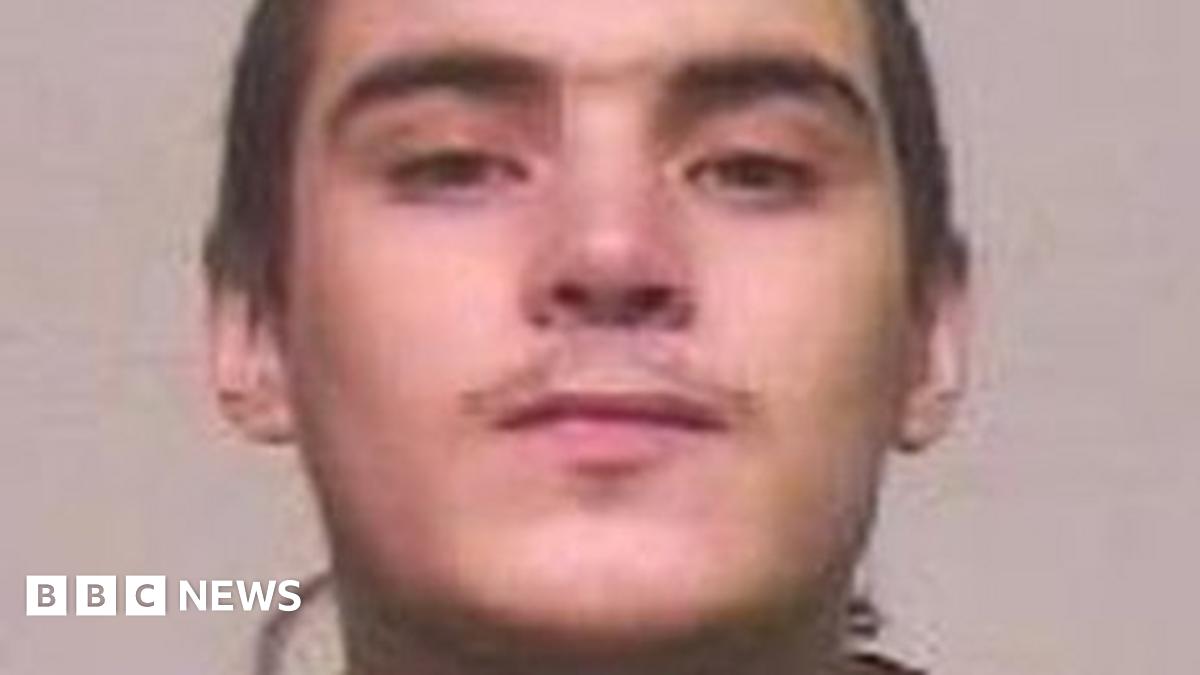 Sunderland knife attack suspect Steven Hanson arrested - BBC News
