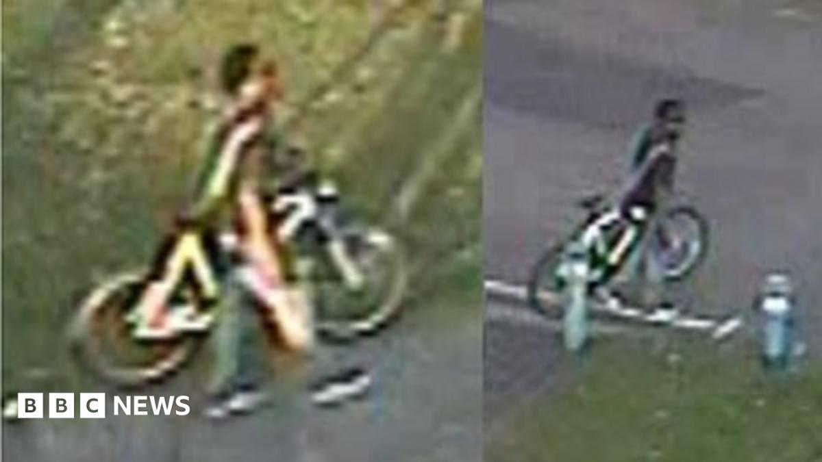Jordan Maguire Luton Marsh Farm stabbing: CCTV images released - BBC News