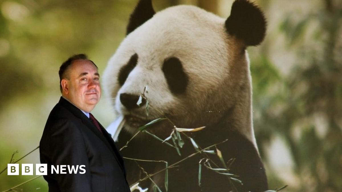 Alex Salmond visits Edinburgh Zoo pandas - BBC News