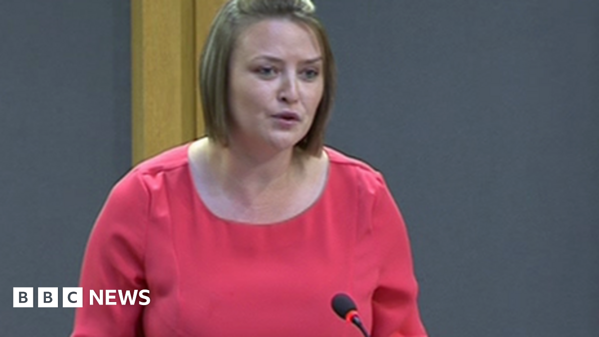 Stephen Fry depression disclosure praised by Plaid AM Bethan Jenkins ...