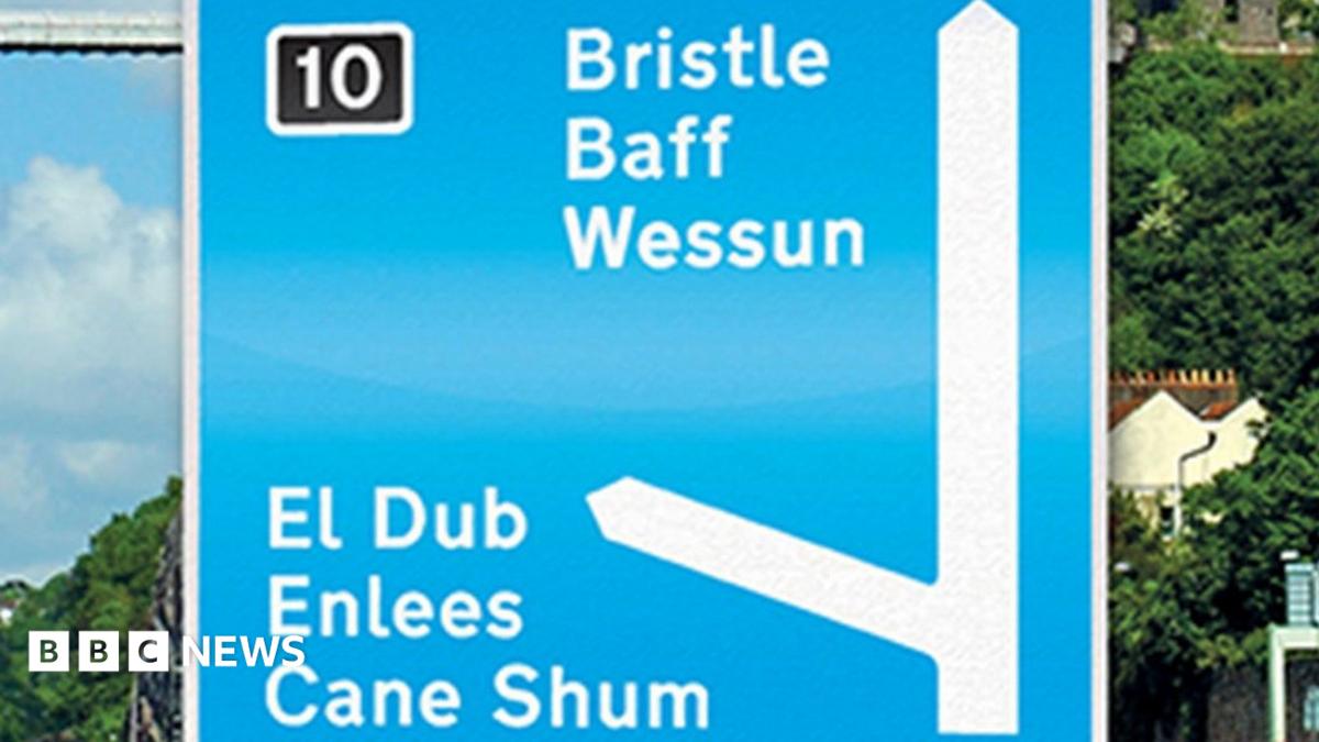 Bristle dictionary debuts 50 new words - BBC News