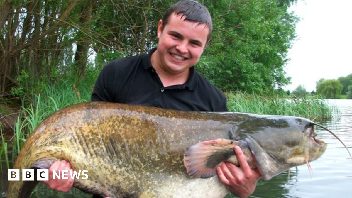 Bluebell Lakes angler lands huge catfish after two-hour fight - BBC News