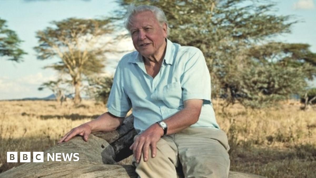David Attenborough recovers from surgery - BBC News