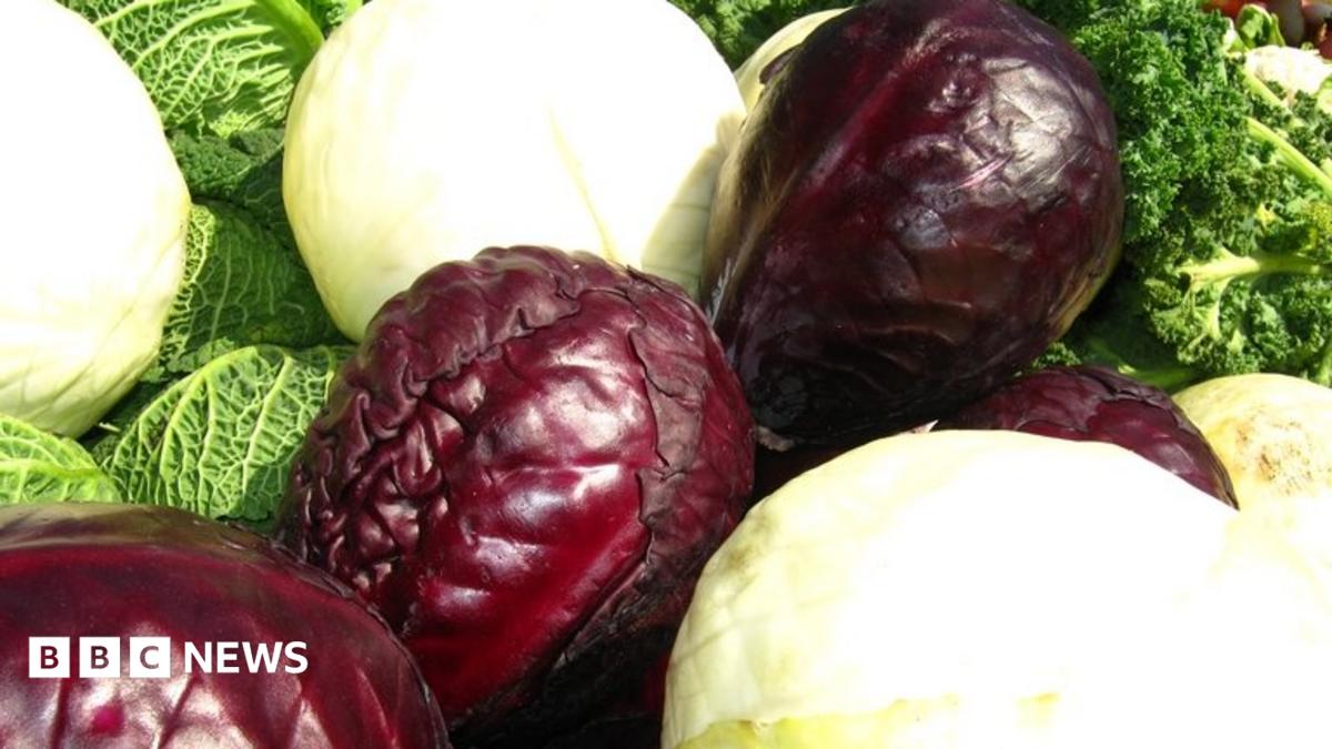 World Cabbage Hurling Championships held in Lincolnshire - BBC News