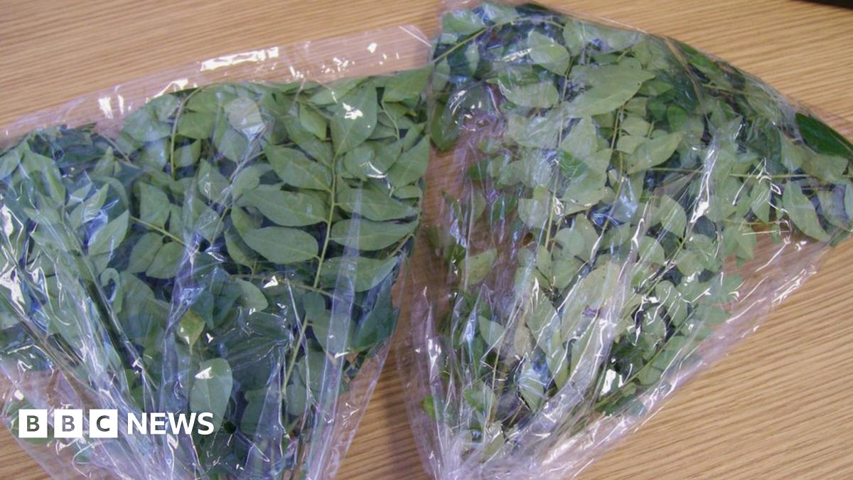 Street Spice food poisoning blamed on curry leaves - BBC News
