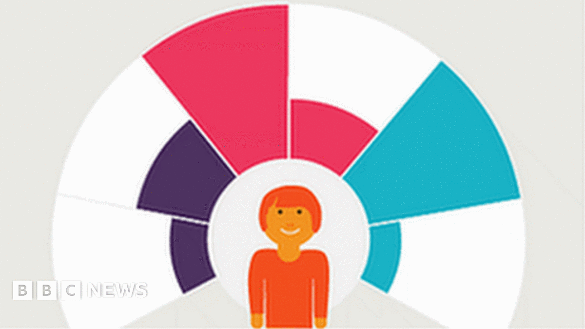 BBC class calculator wins data journalism award - BBC News