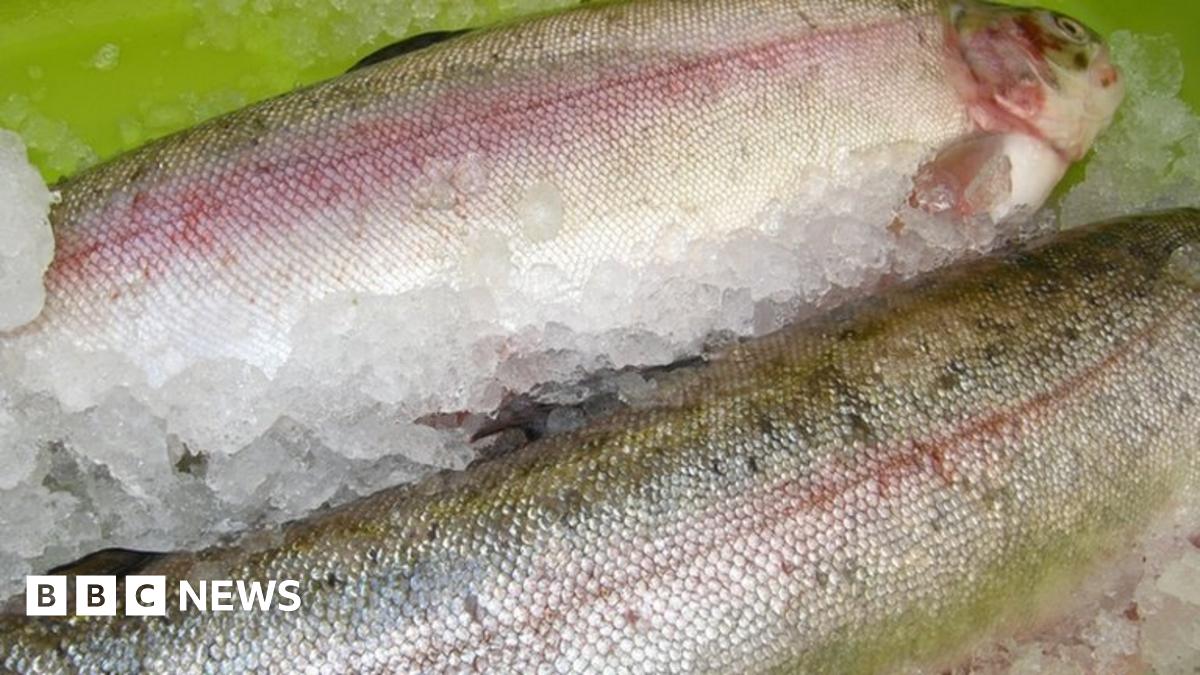 Kent angler finds 'brutal' homemade poaching spear - BBC News