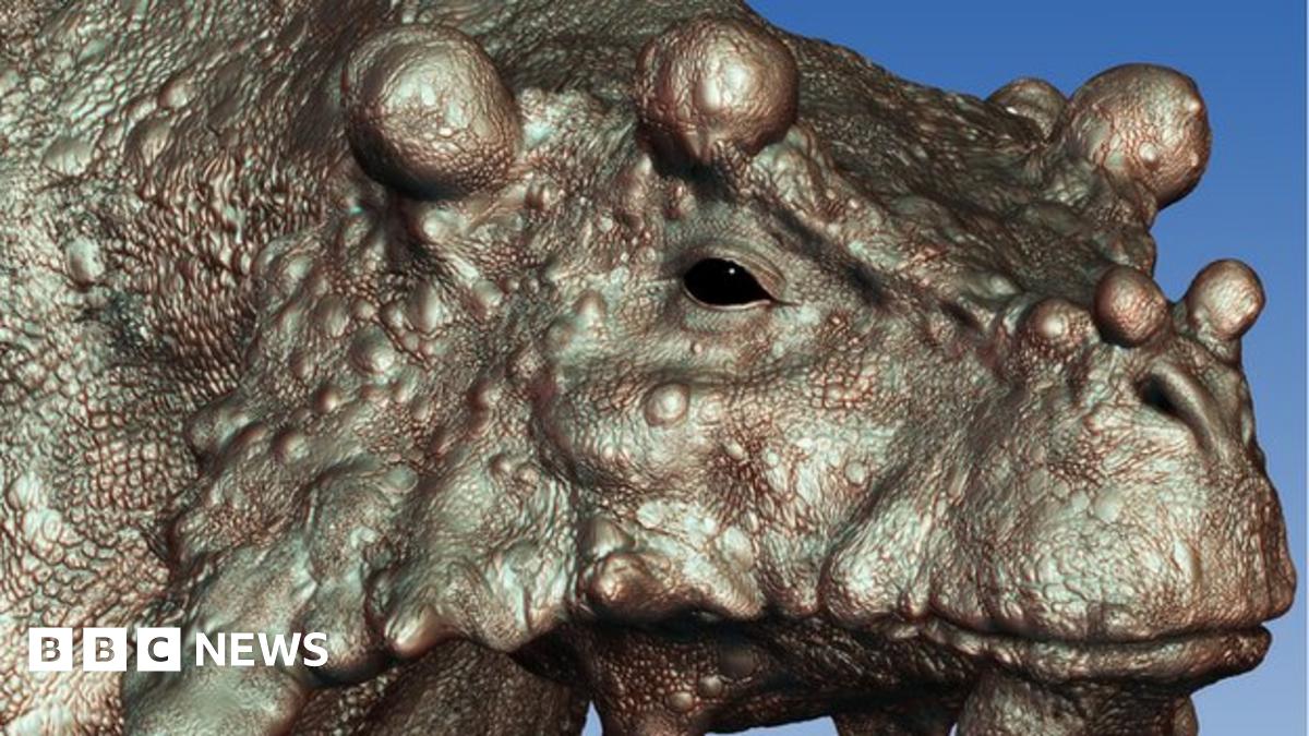 Knobbly reptile roamed vast ancient desert - BBC News