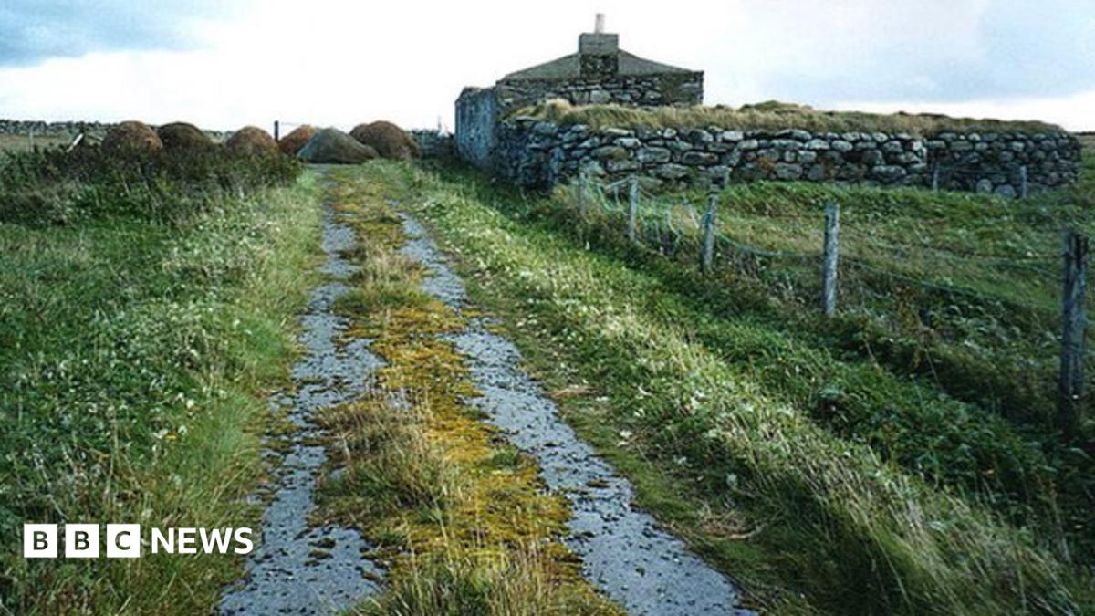 The rough and tumble of reforming Scotland's crofting law - BBC News