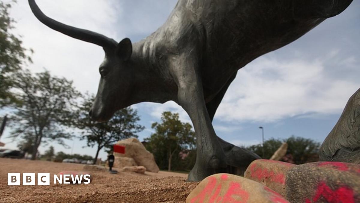 Texas teen dies after being impaled on bull statue horn - BBC News