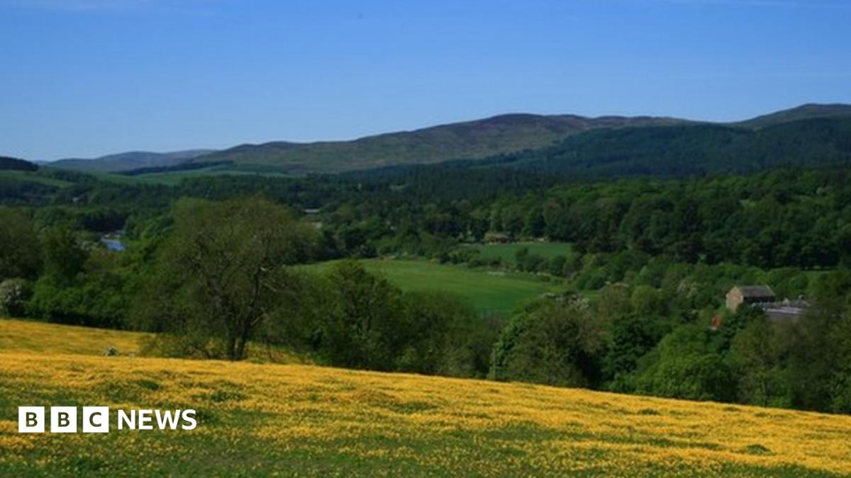 Poet Rab Wilson named as first James Hogg writer-in-residence - BBC News